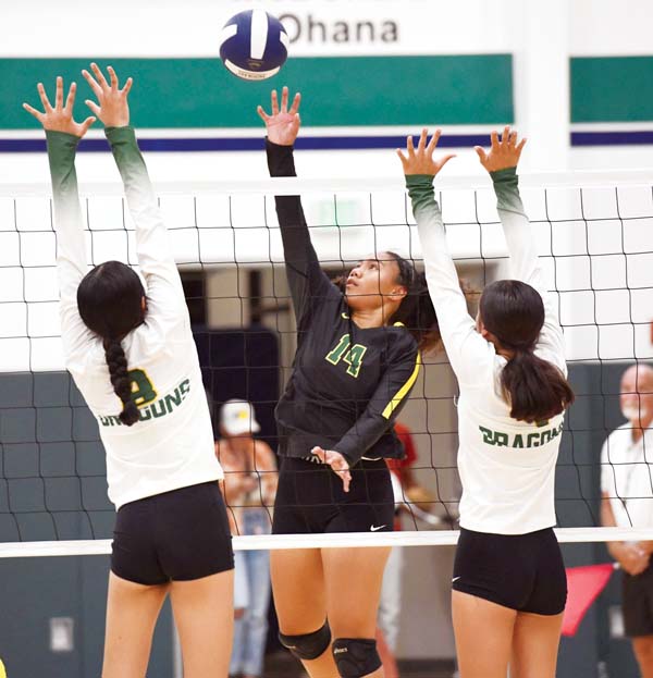 Pine Lasses top Dragons in 4, end long state tourney drought | News ...
